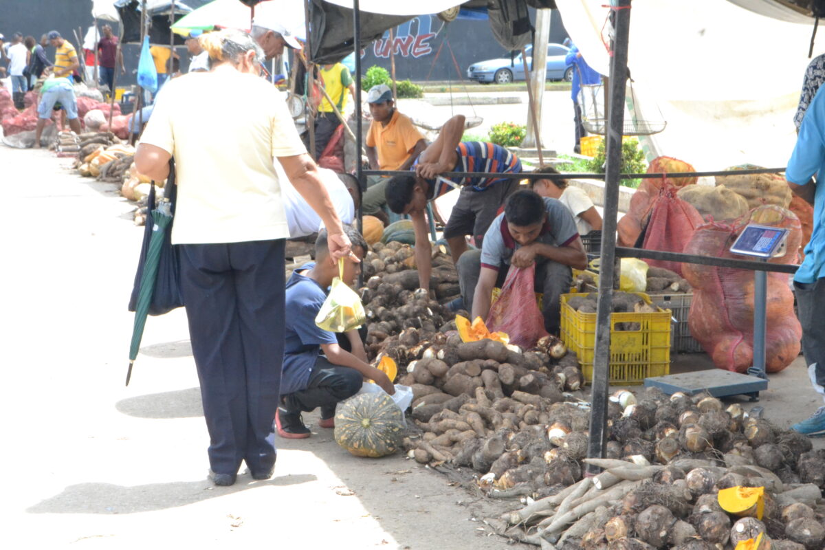¿Cómo diferenciar la yuca amarga de la dulce? Aquí algunos tips